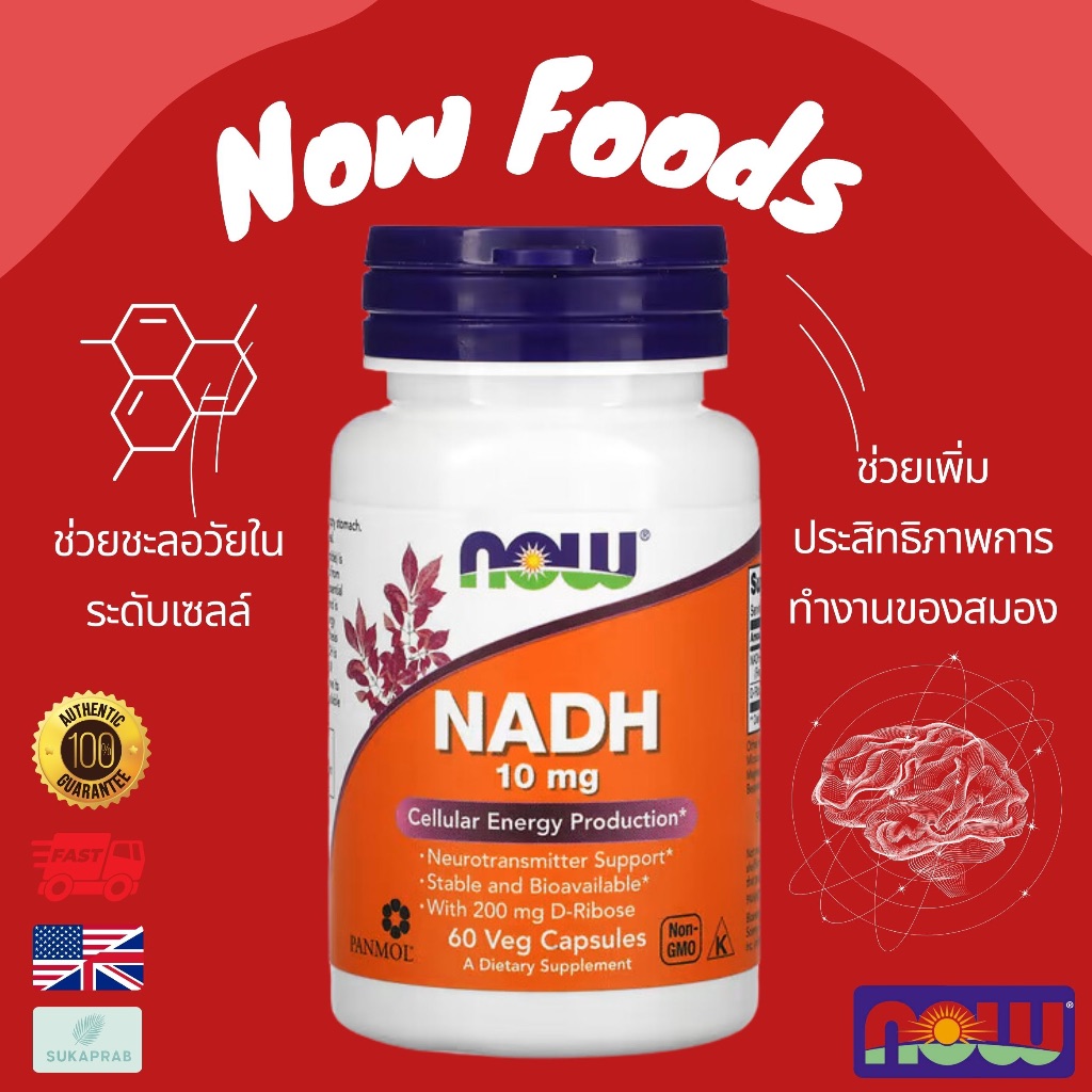พร้อมส่ง NOW Foods NADH 10 mg 60 Veg Capsules ชะลอวัยระดับเซลล์ เพิ่ม ...