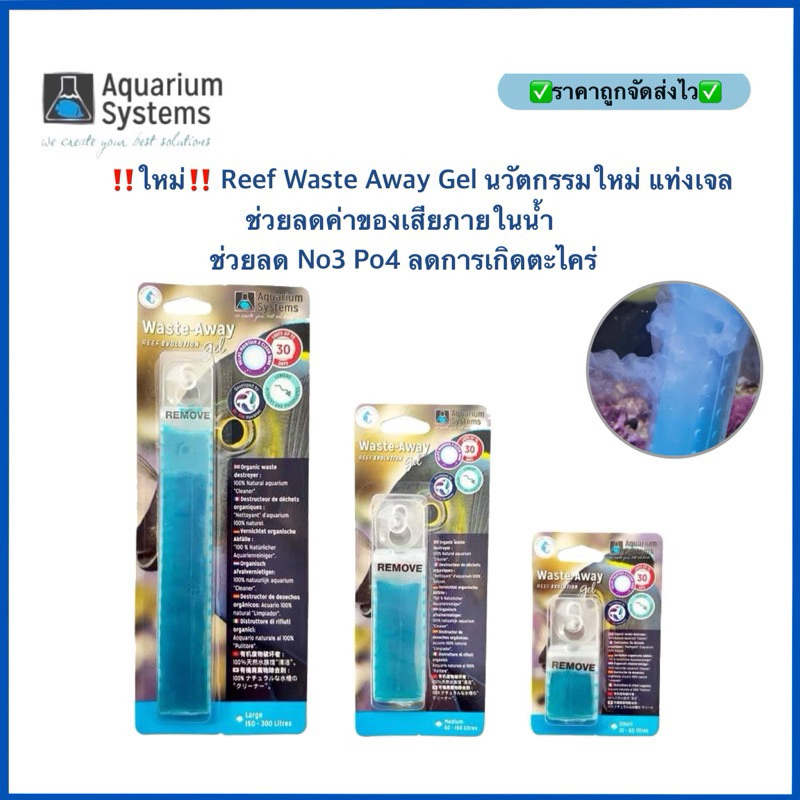ใหม่!! Reef Waste Away Gel นวัตกรรมใหม่ แท่งเจล ช่วยลดค่าของเสียภายใน ...