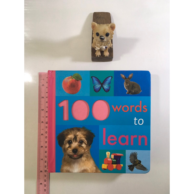 100 Words to Learn หนังสือภาษาอังกฤษมือสอง Boardbook | Shopee Thailand