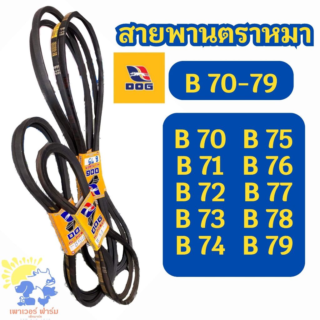 [B70-79] V-belt สายพาน DOG ร่อง B สายพานตราหมา เบอร์ B70-B79 [B70,B71,B72,B73,B74,B75,B76,B77 ...