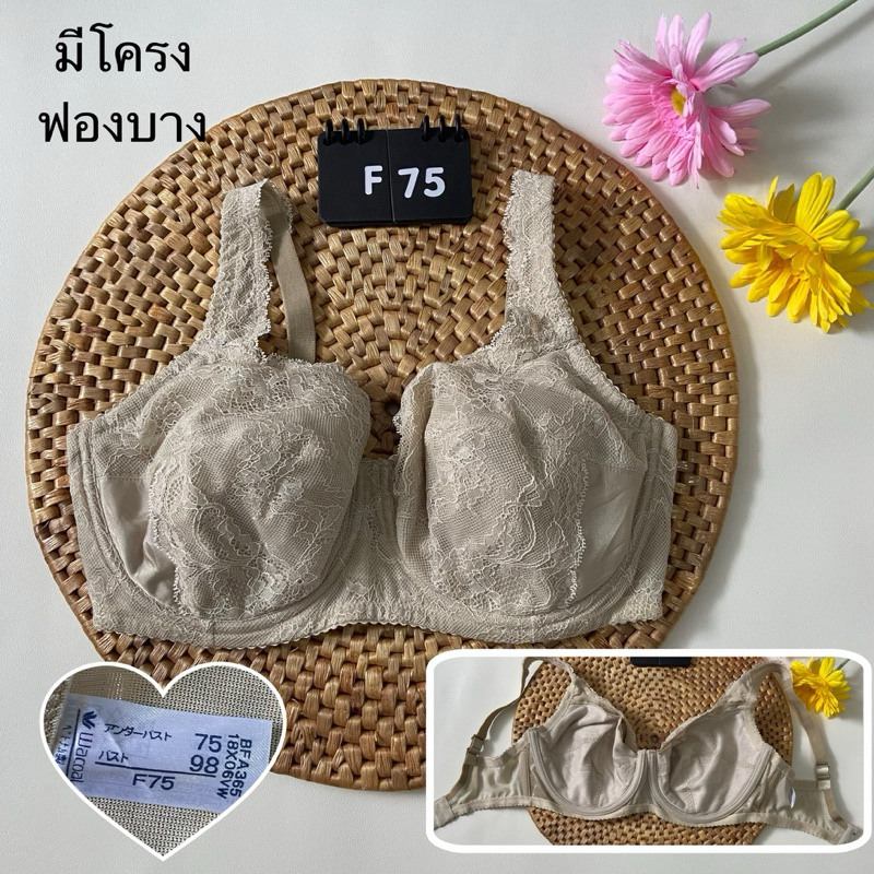 เสื้อชั้นในสไตล์ญี่ปุ่น มือสอง สภาพดี Size : D75 E75 F75 G75 | Shopee Thailand