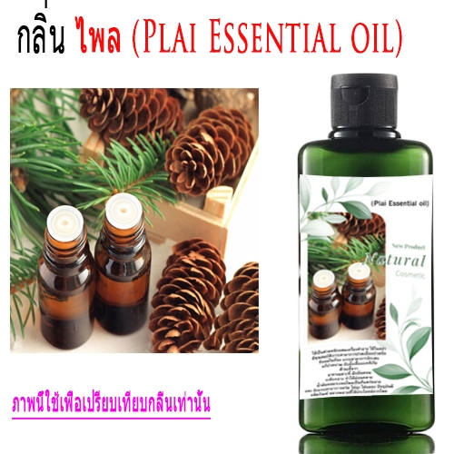 น้ำมันหอมระเหย ไพล (Plai Essential oil) ขนาด 60 ML | Shopee Thailand