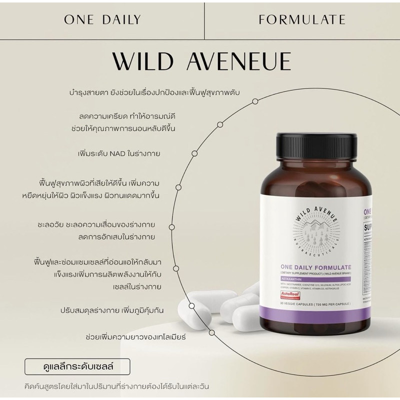 ของแท้ 100% WILD AVENUE : ONE DAILY FORMULATE (บรรจุ 30 แคปซูล) 555 ...