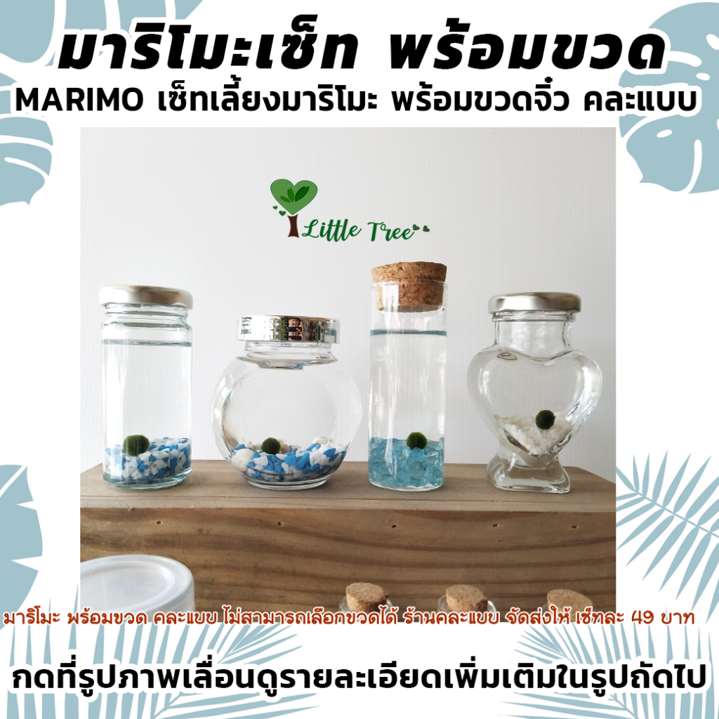 Marimo มาริโมะ เซ็ทจิ๋ว พร้อมขวดคละแบบ ชุดละ 49 บาท | Shopee Thailand