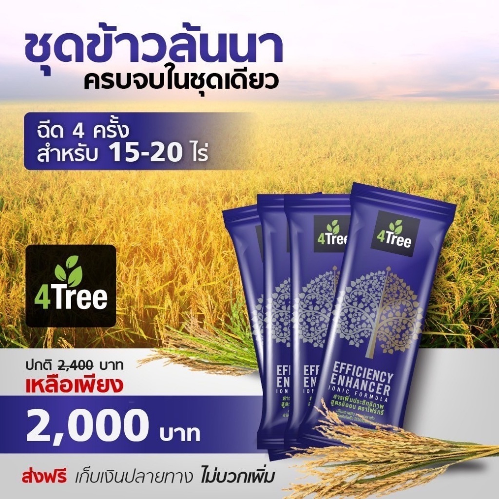 โฟร์ทรีของแท้ 4tree สารเพิ่มประสิทธิภาพพืชใช้ได้ดีกับพืชพรรณทุกชนิด ...