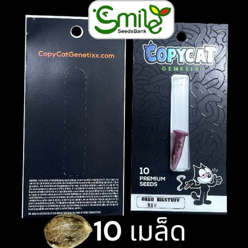 เมล็ดกัญชา Oreo Big Stuff S1 (Fem) - Copycat Genetix | Shopee Thailand