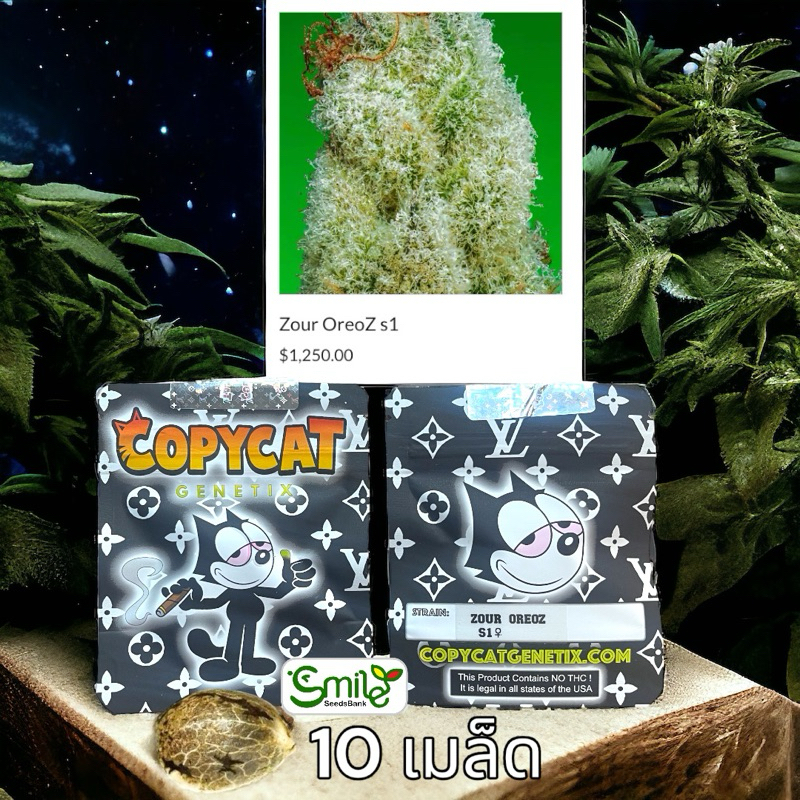 เมล็ดกัญชา Zour Oreoz S1 (Fem) - Copycat Genetix | Shopee Thailand