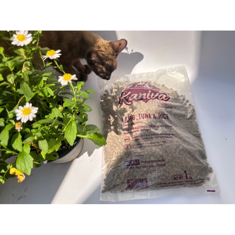 อาหารแมวคานิว่า(kaniva)1kg. รสเนื้อแกะ | Shopee Thailand