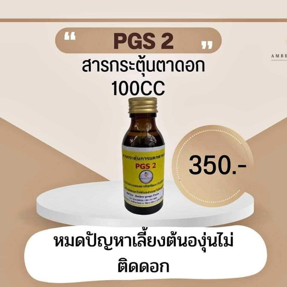 สารกระตุ้นตาดอก PGS2 | Shopee Thailand