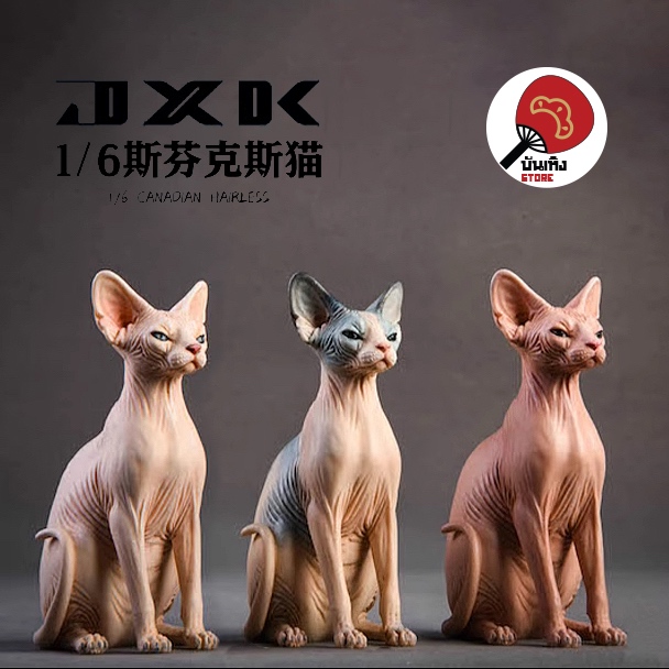 (พร้อมส่ง) JXK - 1/6 Sitting Sphynx Cat - ฟิกเกอร์ แมวสฟิงค์ นั่ง ...