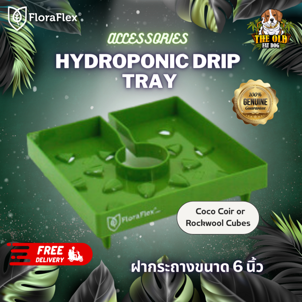 Floraflex ฝากระถางขนาด 6 นิ้ว Floracap Hydroponic Drip Tray for 6" Pots ...