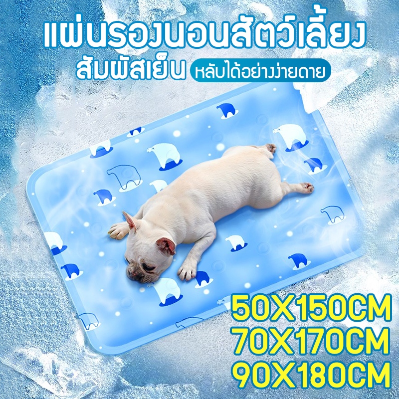 เบาะเย็นแมว แผ่นเจลเย็น เจลเย็นแมว เบาะเจลเย็น ที่นอนเย็น 50*150cm/70*170cm/90*180cm | Shopee ...