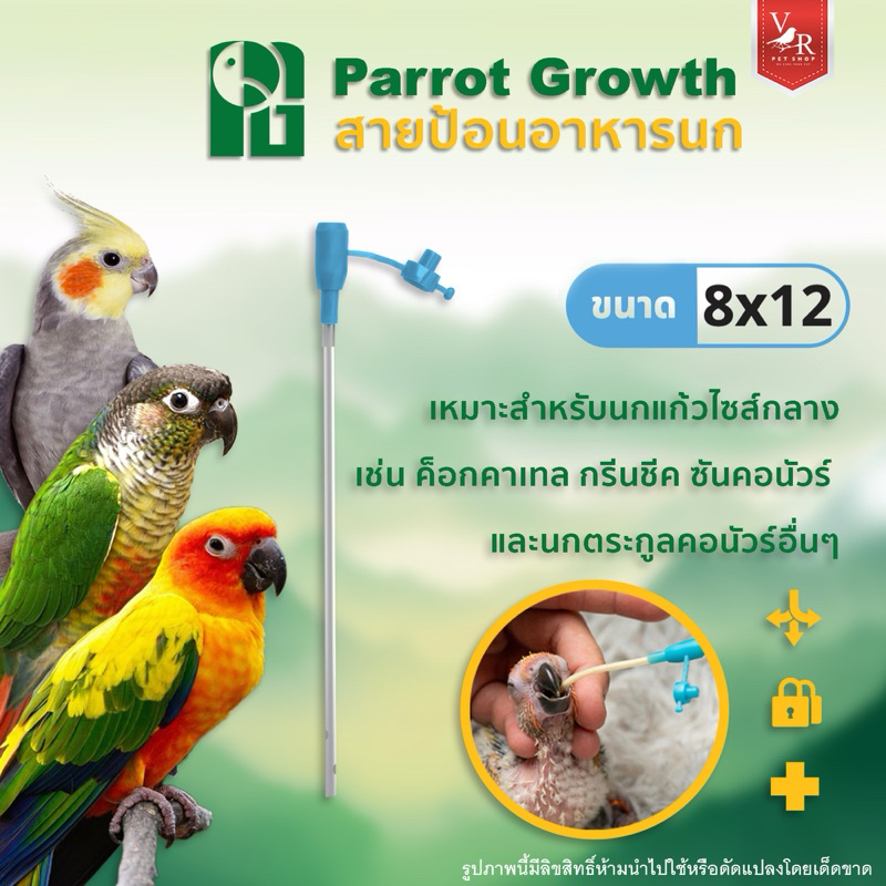PG Parrot Growth สายป้อนอาหารลูกนก สายป้อนอาหารนก ***สินค้าจัดส่งจาก ...