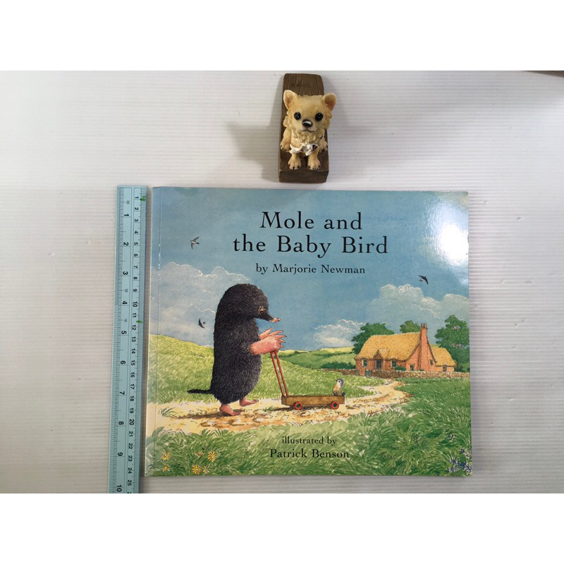 Mole and the Baby Bird By Marjorie Newman หนังสือภาษาอังกฤษ (มือสองปก ...