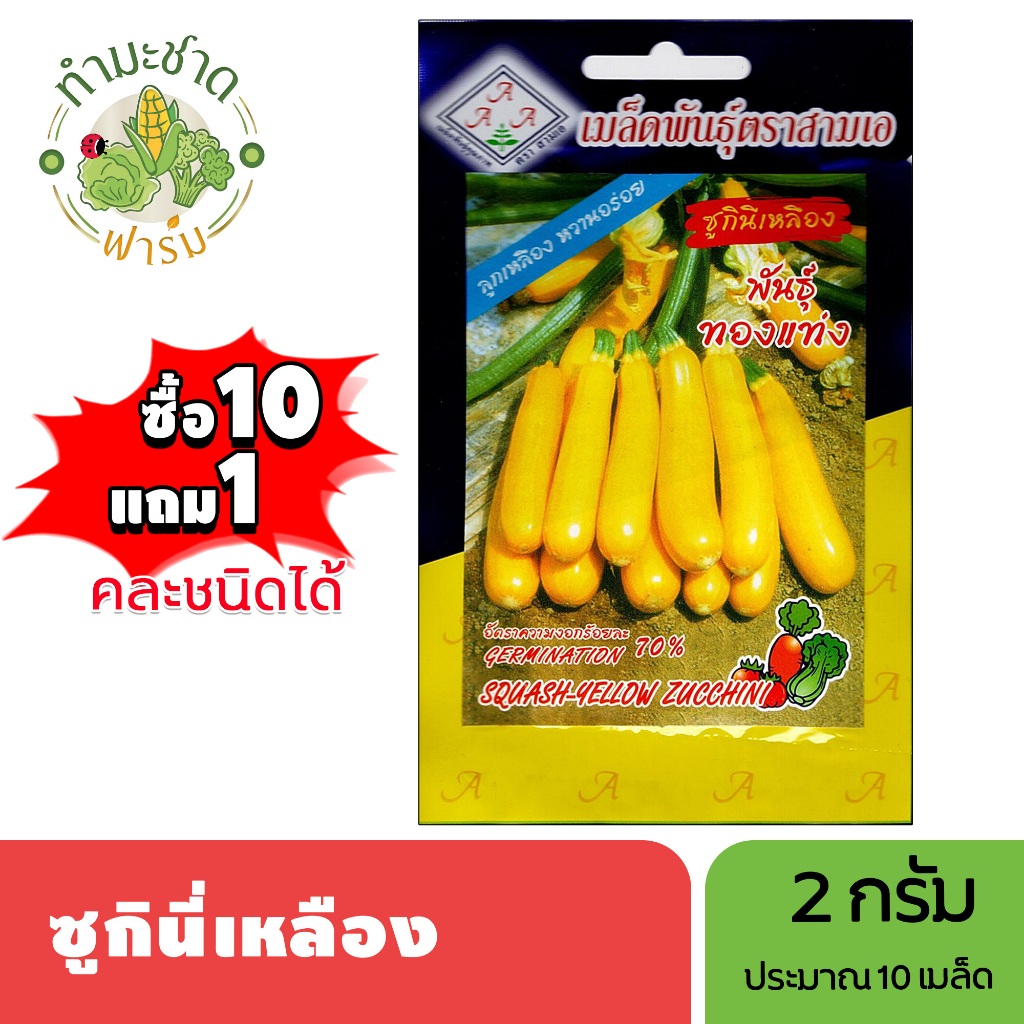 3A (ซื้อ10แถม1) เมล็ดพันธุ์ ซูกินีเหลือง ขนาด2กรัม ประมาณ10เมล็ด SQUASH ...