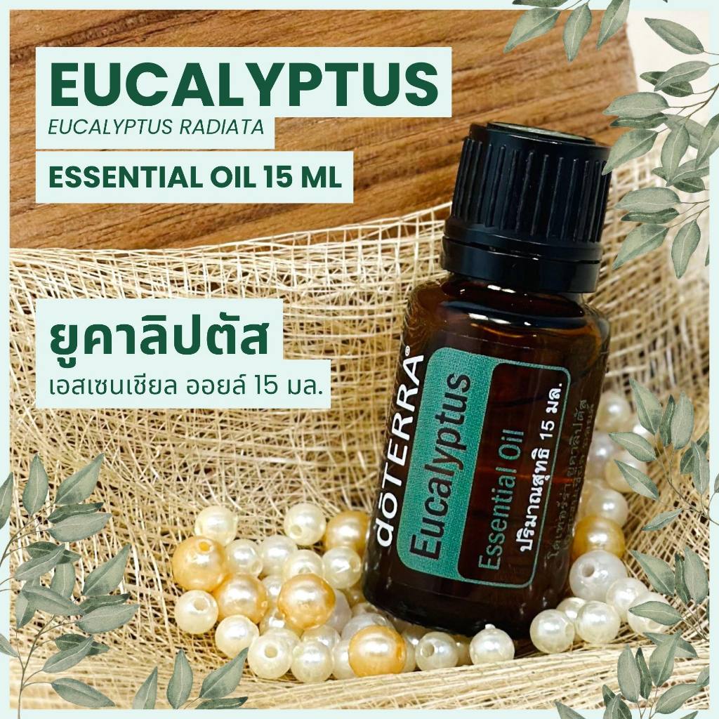 Doterra Essential Oils Eucalyptus โดเทอร์ร่า น้ำมันหอมระเหย ยูคาลิปตัส ...