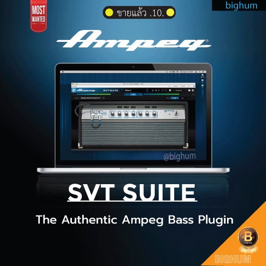 SVT Suite Ampeg Vst Plugins & Stand alonr for bass player | Software windows only | Shopee Thailand