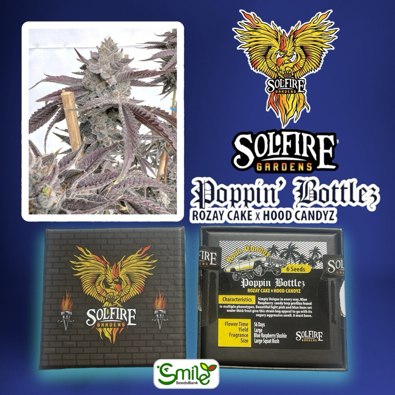 เมล็ดกัญชา Poppin Bottlez (Fem) ขายดี*- Solfire Gardens | Shopee Thailand