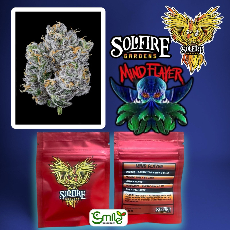 เมล็ดกัญชา Mild Flayer (Fem) ดั้งเดิม*- Solfire Gardens | Shopee Thailand