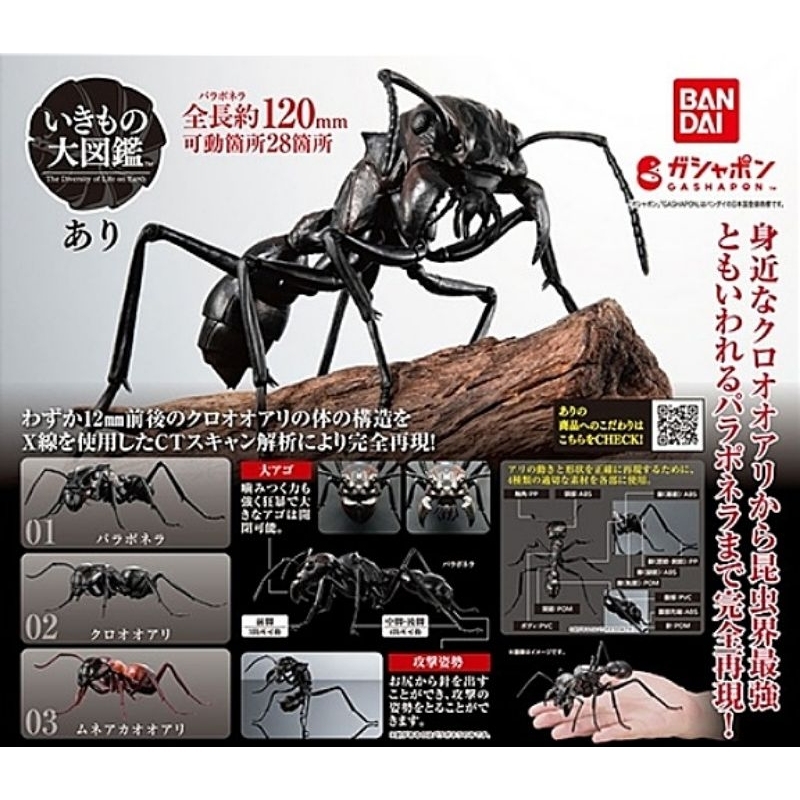 กาชาปองมดกระสุน Bullet Ant Paraponera Clavata (worker) - Bandai ...