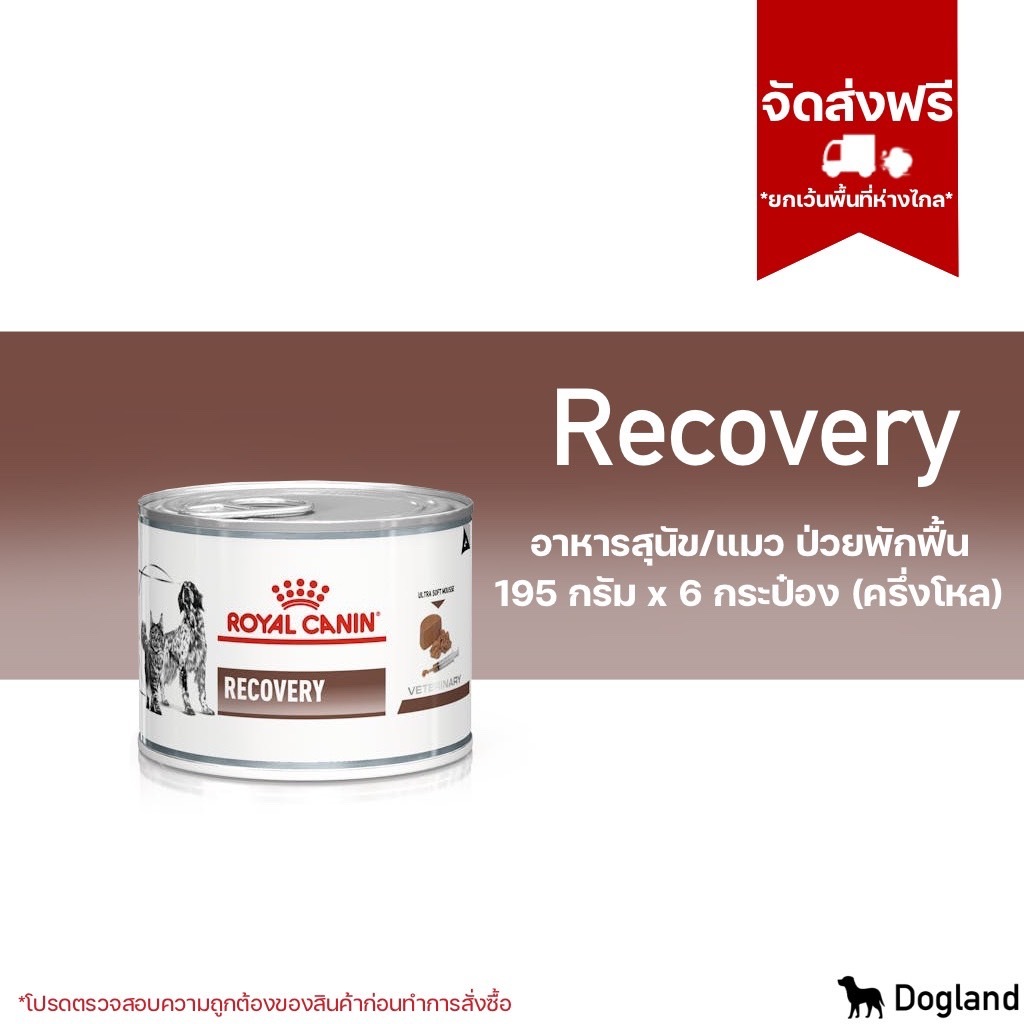 RC Recovery 195g อาหารสัตว์ป่วย/พักฟื้น สุนัข/แมว 6 กระป๋อง** | Shopee ...