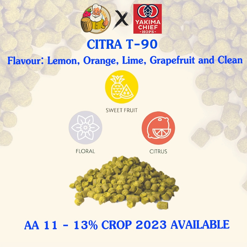 ซีตร้าฮอปส์ Citra (US) PELLET HOPS (T90) Crop Year 2023 hopsทำเบียร์ ...