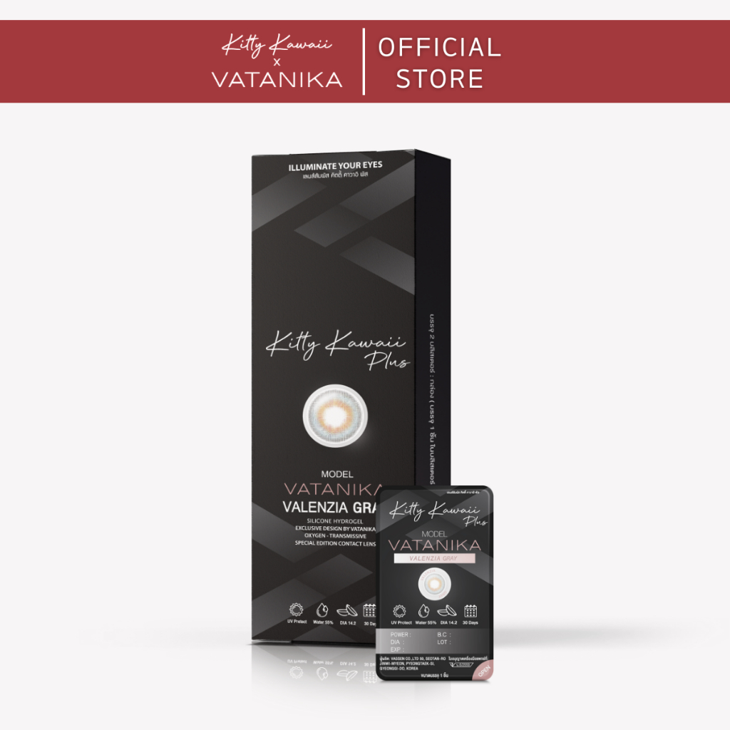 VATANIKA LENS : Valenzia Gray คอนแทคเลนส์โดย แพร วทานิกา | Shopee Thailand