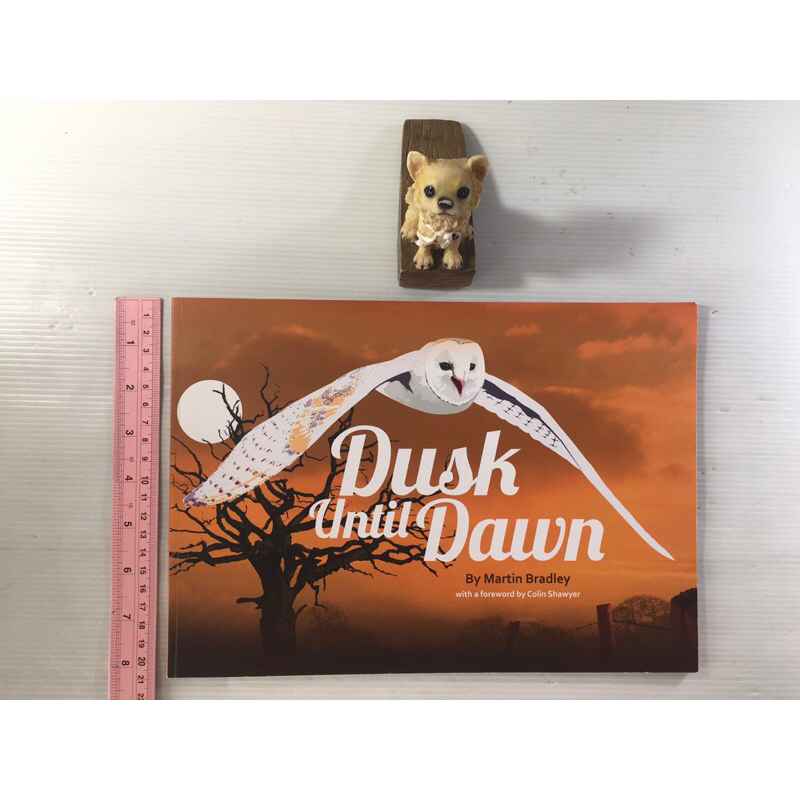 Dusk Until Dawn By Martin Bradley หนังสือภาษาอังกฤษมือสองปกอ่อนมือสอง ...