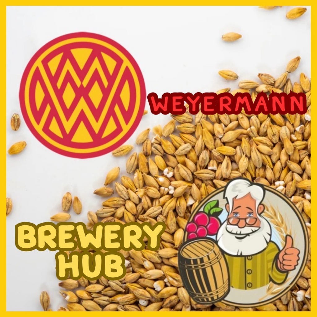 มอลต์ Pilsner, Wheat, Pale Ale, Vienna, MUNICH MALT TYPE 1, CARAPILS ...
