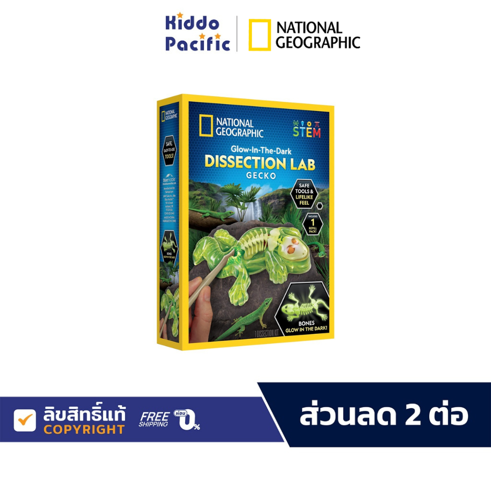 National Geographic Gecko Dissection Lab ของเล่น ผ่าจิ้งจกจำลอง เรือง ...
