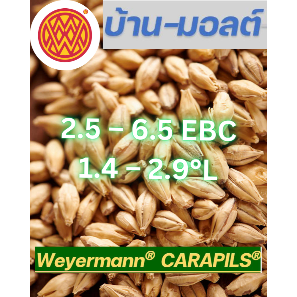 Weyermann - CARAPILS - Malt. มอลต์ | Shopee Thailand