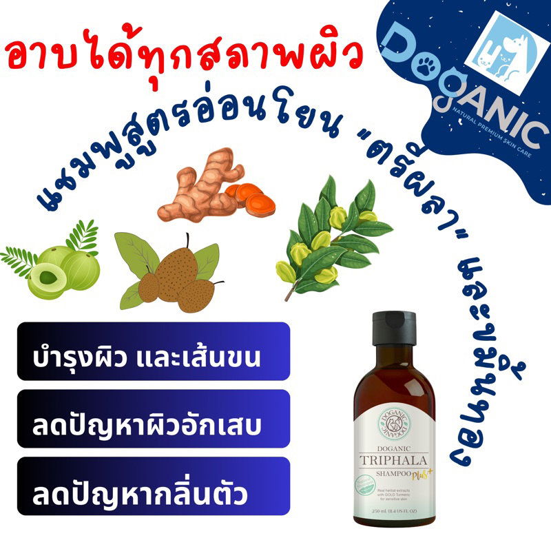 Doganic Triphala Plus Shampoo 250ml. Lot06/2027 Organic บำรุงผิวเส้นขน ...