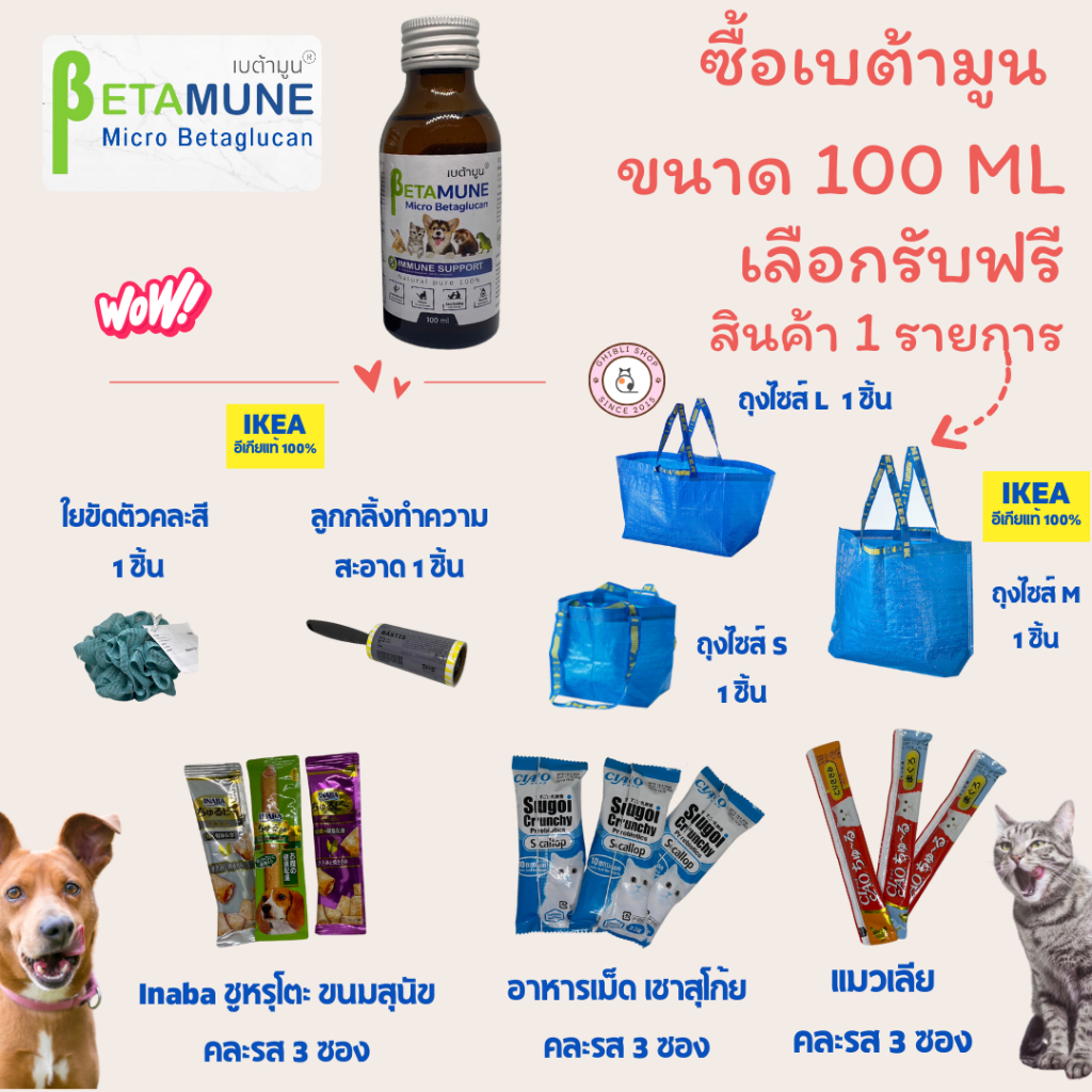 Betamune เบต้ามูน ขนาด 100ml. เบต้ากลูแคน วิตามินกระตุ้นภูมิ เสริมการ ...