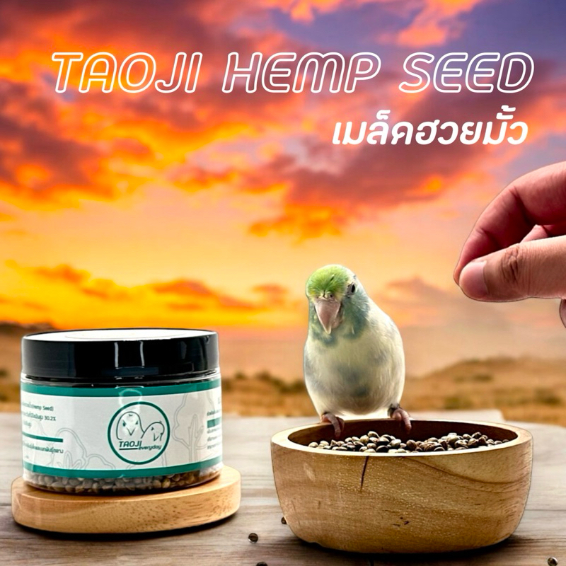 เมล็ดฮวยมั้ว Taoji Hemp Seed 120g. | Shopee Thailand