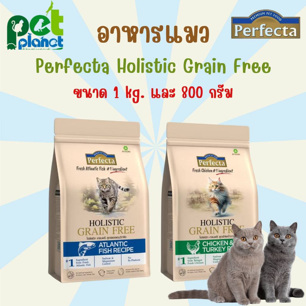[1kg.][800g.] อาหารแมว Perfecta Holistic Grain Free อาหารเม็ด สำหรับ แมว และ ลูกแมว เกรด เกรนฟรี ...