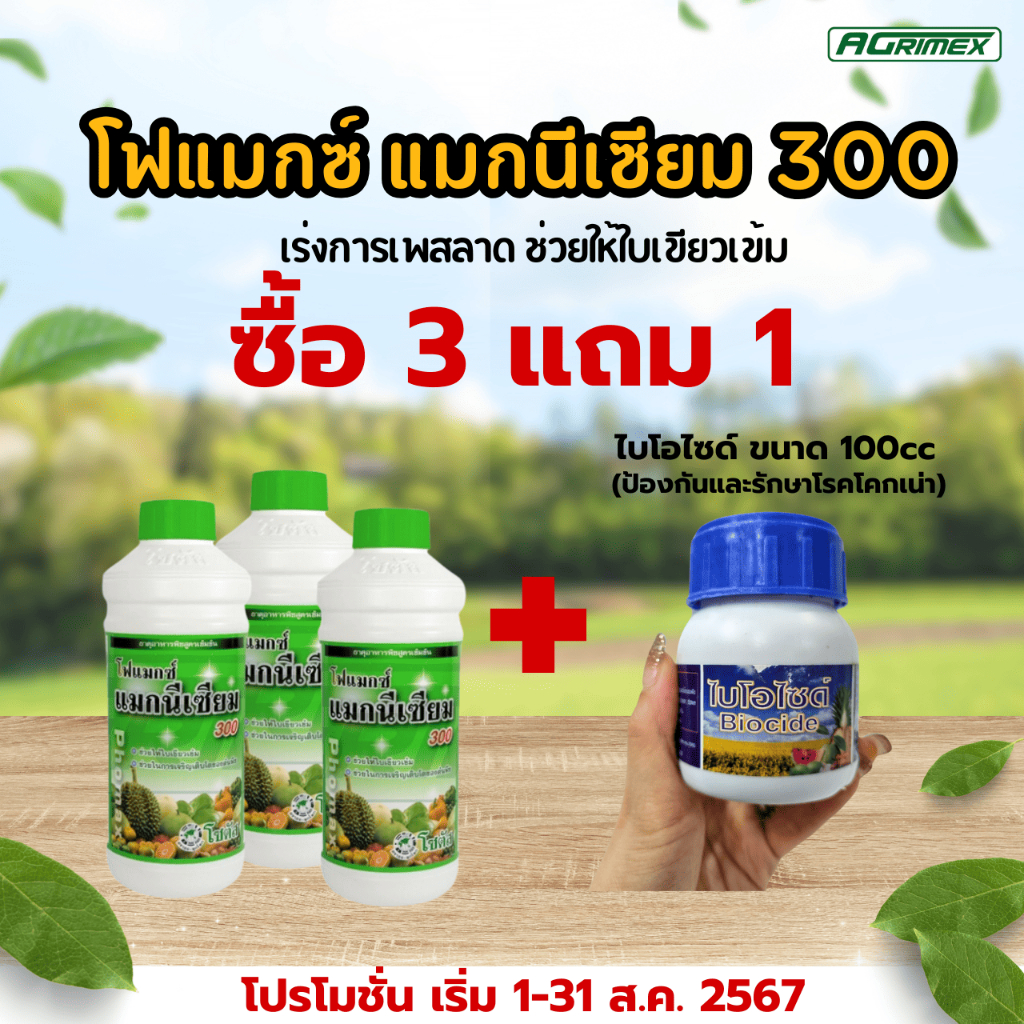 โฟแมกซ์ แมกนีเซียม 300 (Phomax Mg 300) 1 ลิตร เร่งการเพสลาด ช่วยให้ใบ ...