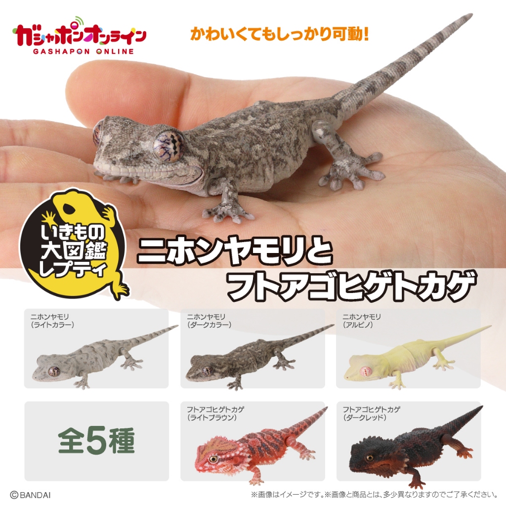 Bandai Gashapon Ikimono Encyclopedia SCHLEGEL’S JAPANESE GECKO AND ...