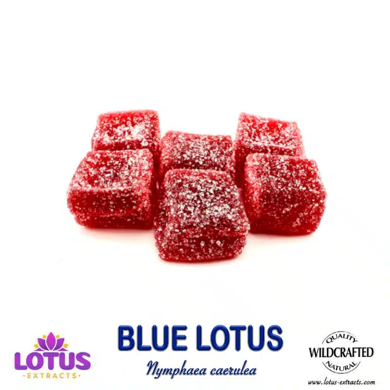 Blue Lotus Extract Gummy Lucid Dream ลูกอม หลับฝันดี เยลลี่ ดอกบัวฟ้า ...