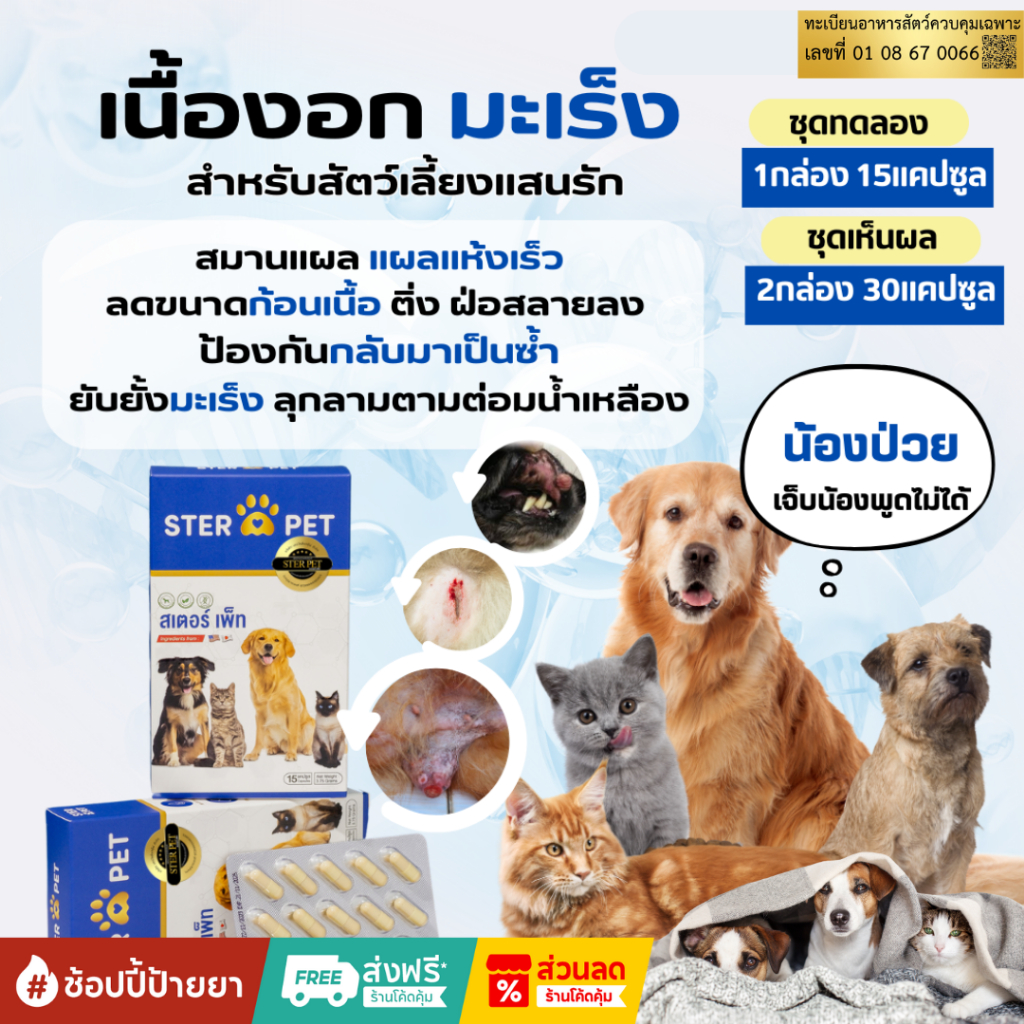 STER PETสเตอร์เพ็ทเหมาะสำหรับสุนัขแมวมี ป่วยก้อนโต มะเร็งลุกลาม ...