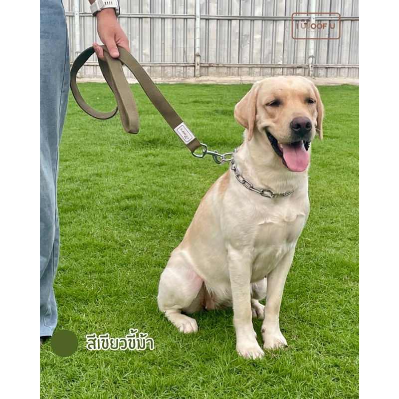 I WOOF U สายจูงสุนัขใหญ่ผ้าสปันหนา [Dog leash] | Shopee Thailand