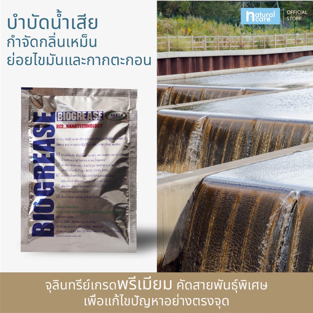 BIOGREASE จุลินทรีย์สำหรับย่อยสลายไขมัน-กากตะกอน บำบัดน้ำเสีย-น้ำเน่าเหม็น | Shopee Thailand