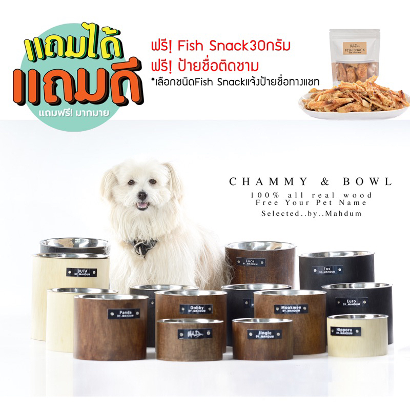 Mahdum chammy bowl ชามอาหารสุนัข Mahdum | Shopee Thailand