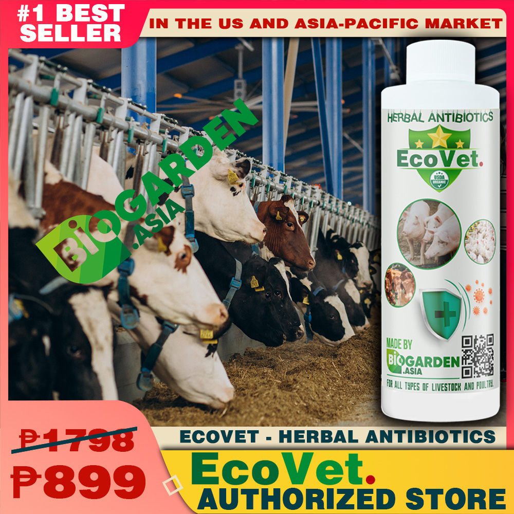 Ecovet - อาหารเสริมโปรไบโอติกชนิดผง สารอาหารที่จำเป็นสำหรับปศุสัตว์ ...
