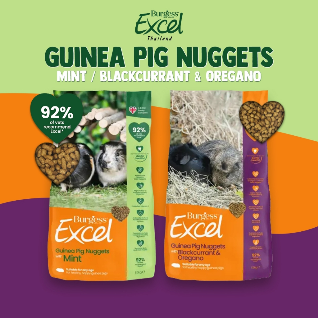 Burgess Excel Guinea Pig Nuggets | Shopee Thailand