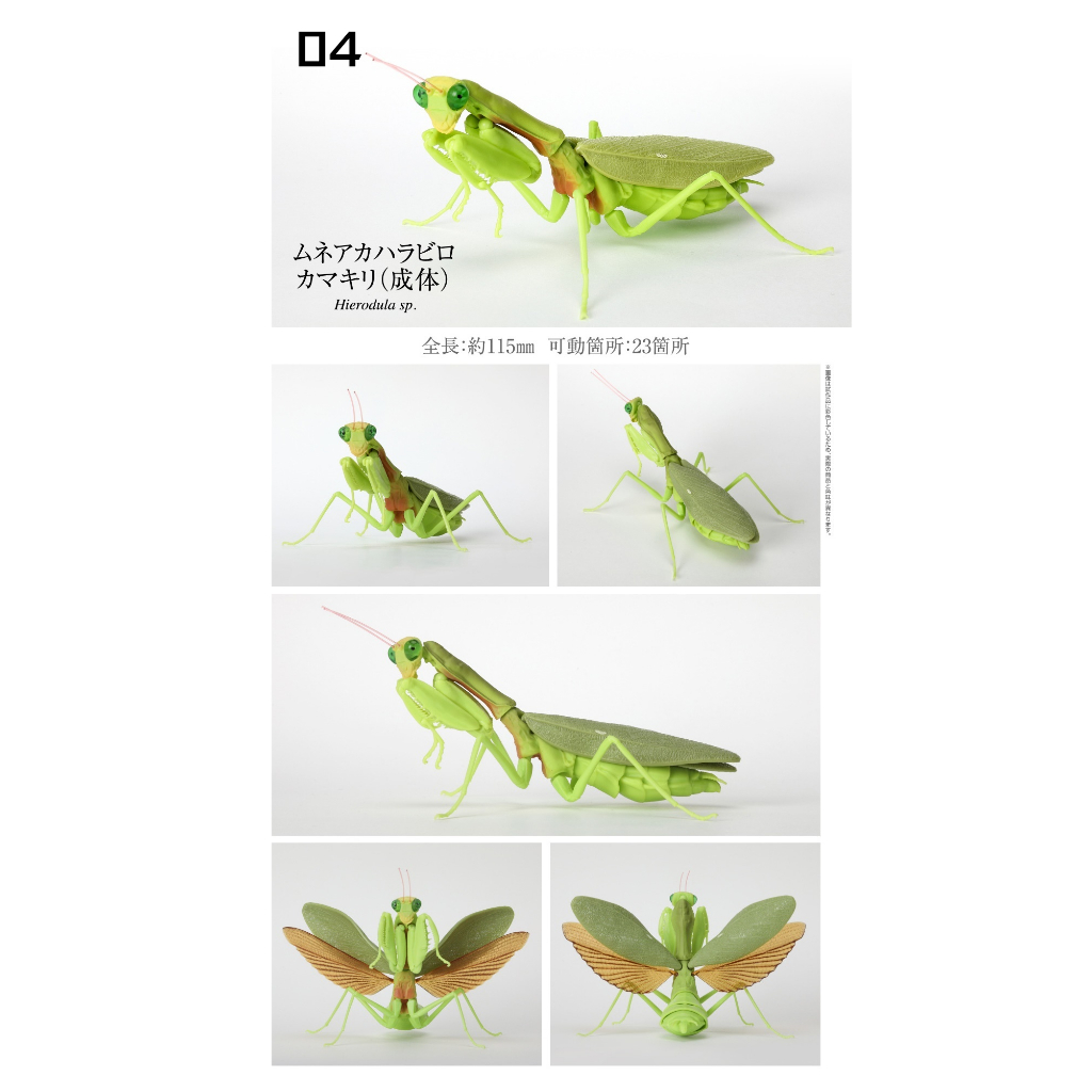 (มีของพร้อมส่ง) Gashapon กาชาปองตั๊กแตน Bandai Kamakiri Mantis Vol.04 ...