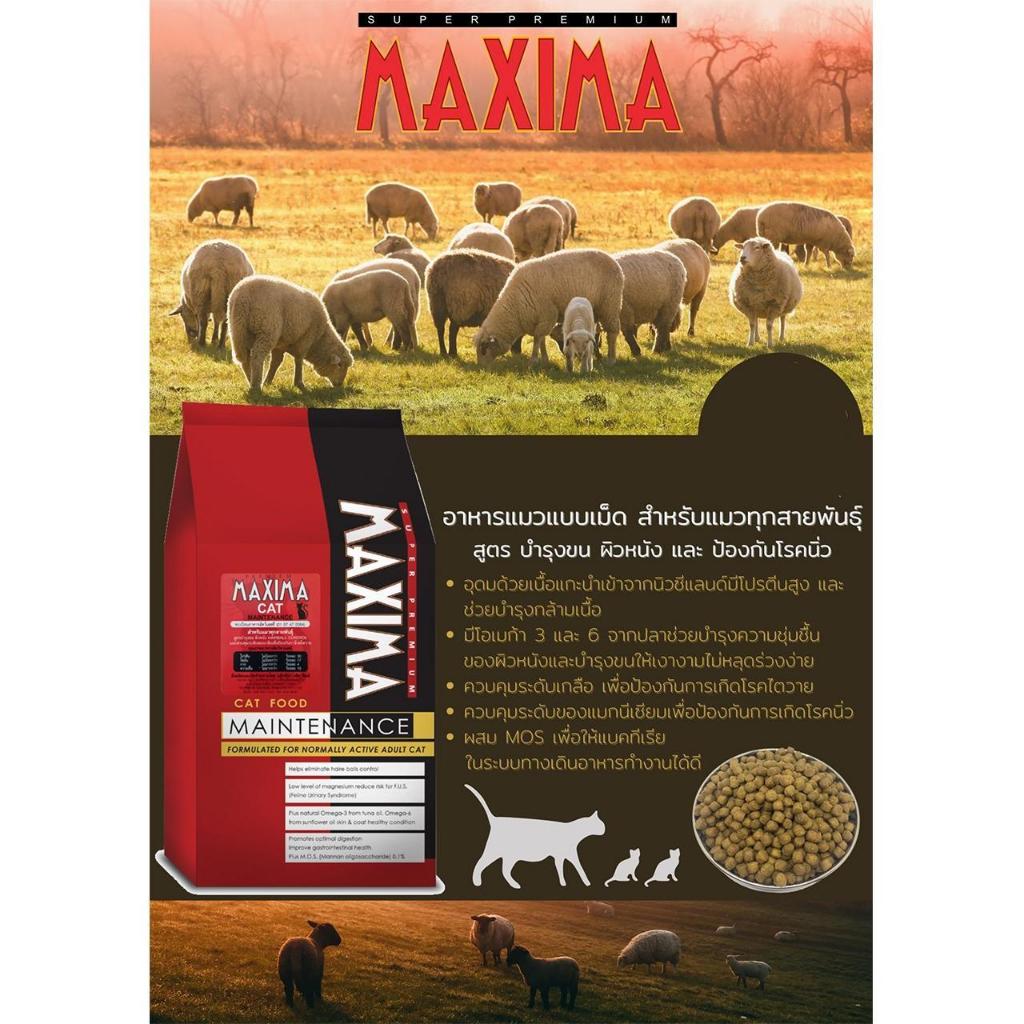(1 kg x 4 ถุง) อาหารแมว Maxima แม็กซิม่า บำรุงขน ไม่เค็ม | Shopee Thailand