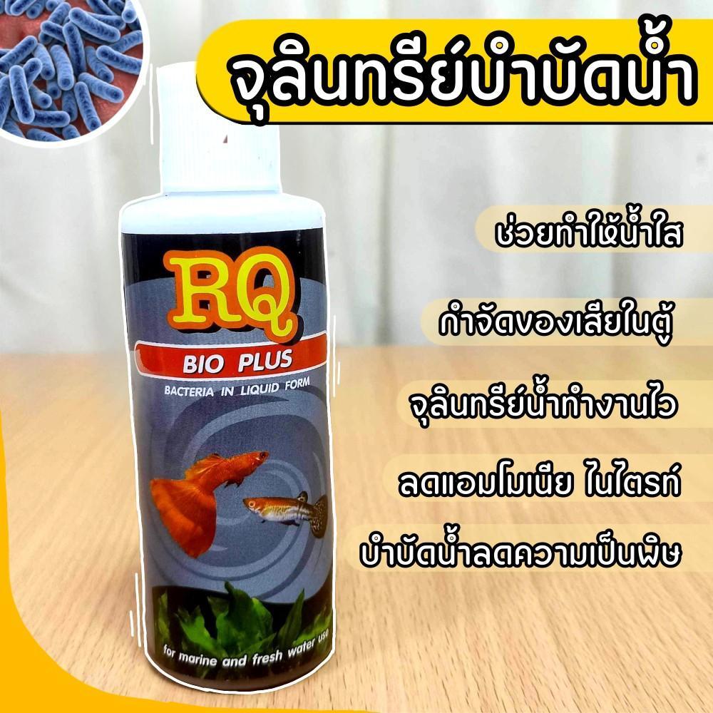 RQ-bio plus จุลินทรีย์ ย่อยสลายของเสียในตู้ปลา | Shopee Thailand