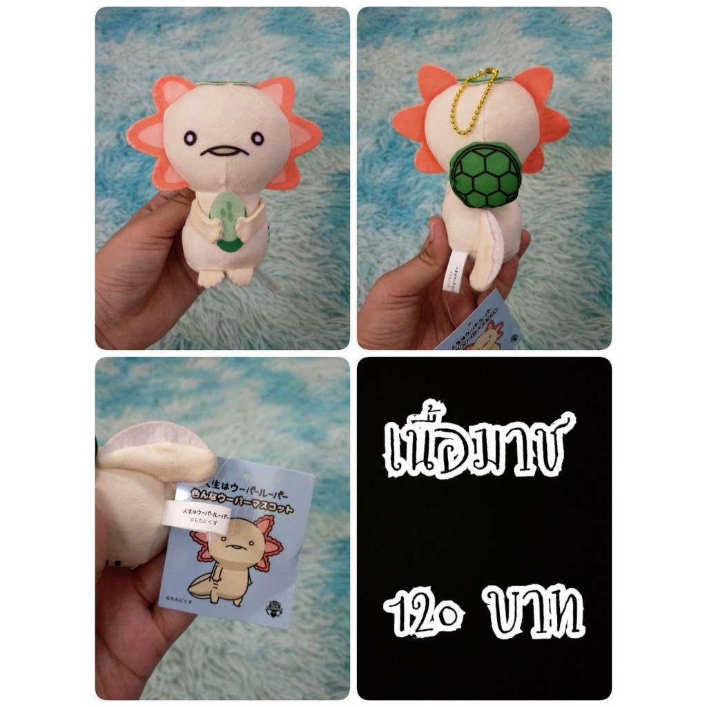 Axolotl#Wooper Looper#วูปาลูปา#ซาลาแมนเดอร์#Salamander#เนื้อมาช#งานพวง ...