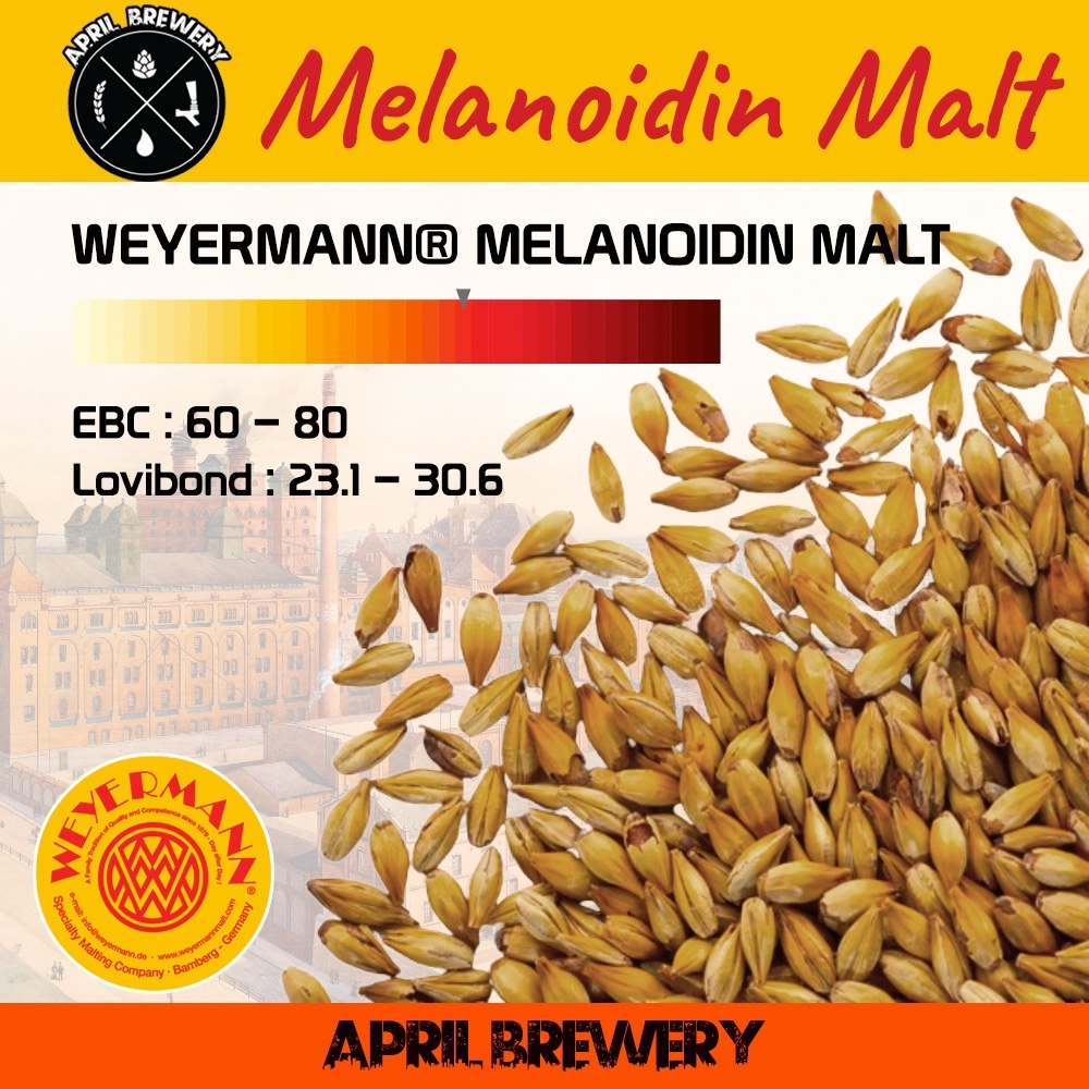 มอลต์ Melanoidin Malt Weyermann Malt Homebrew ทำเบียร์ จาก Germany ขนาด ... มอลต์ Melanoidin Malt Weyermann Malt Homebrew ทำเบียร์ จาก Germany ขนาด ...