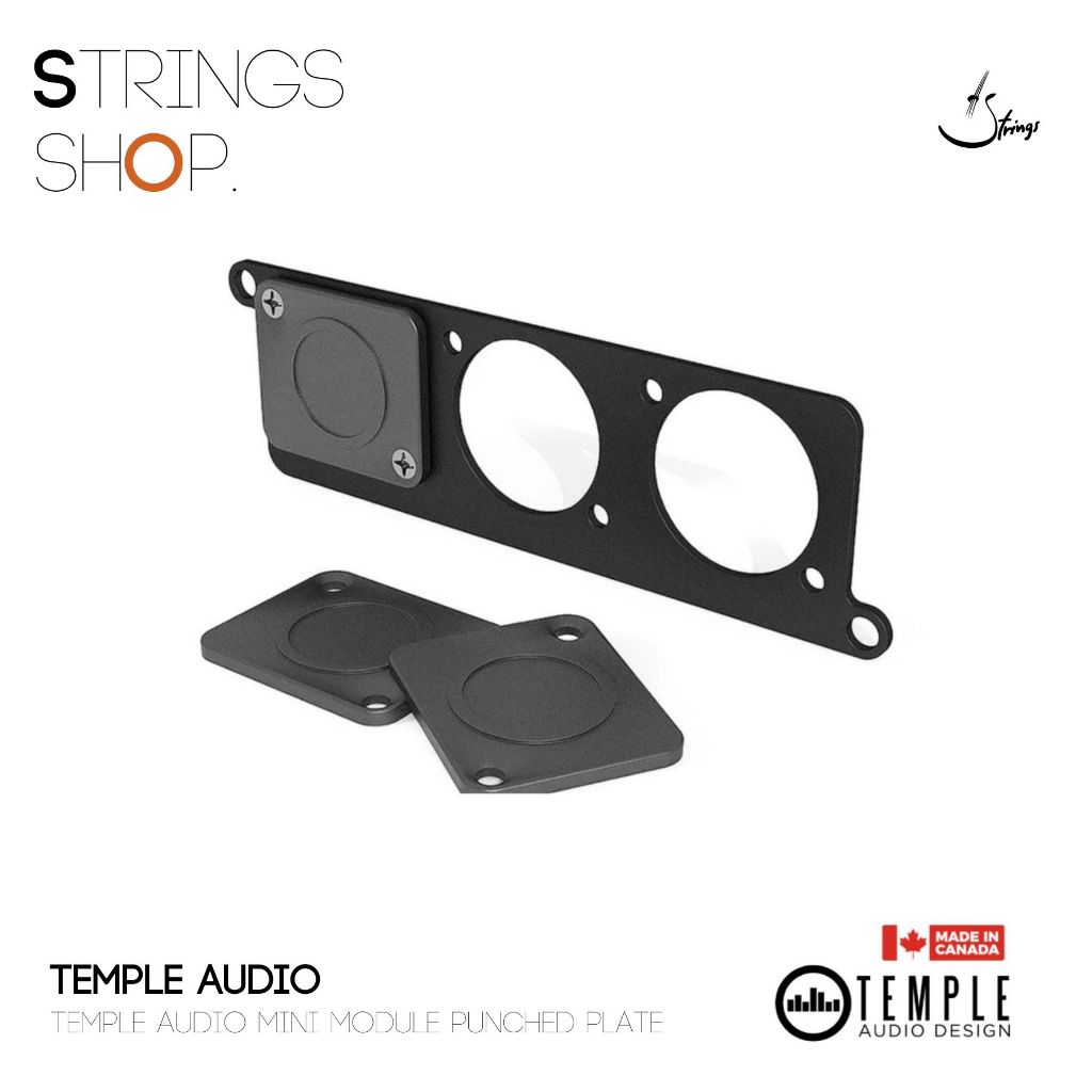 Temple Audio Mini Module Punched Plate | Shopee Thailand
